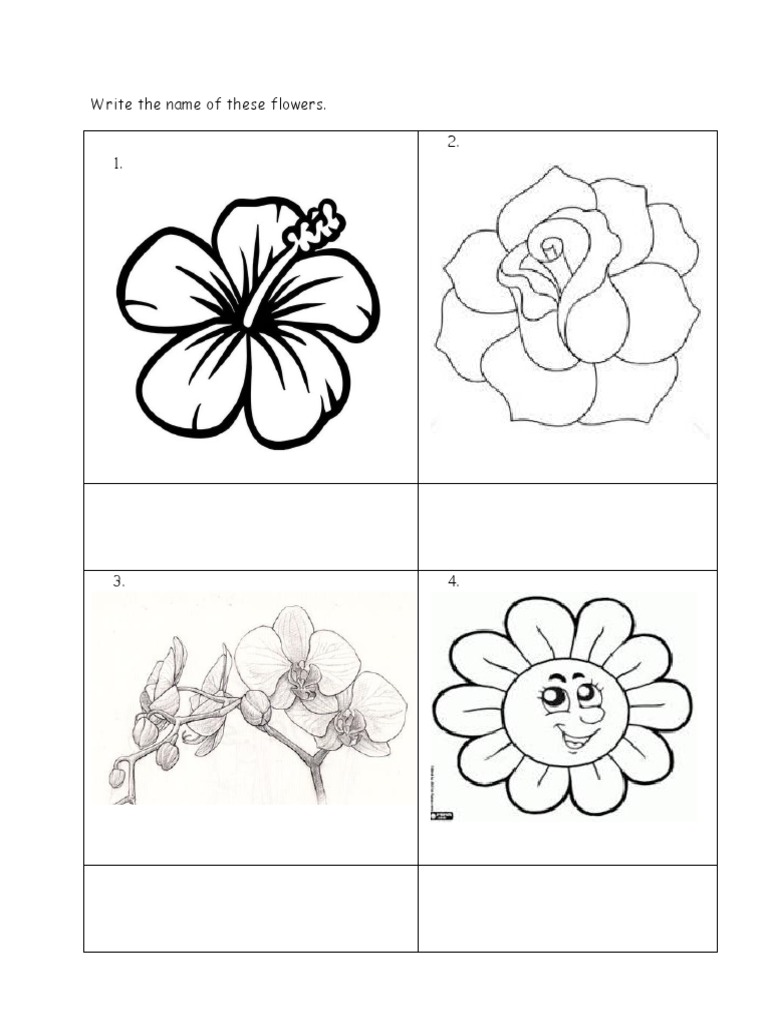 Identify Flower Names List | PDF