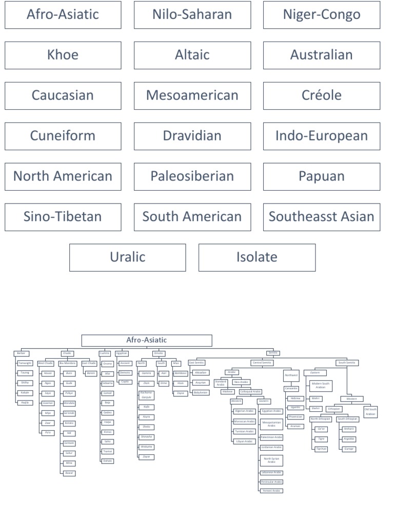 Family Tree | Arabic | Middle East