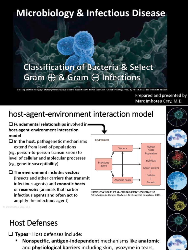 Bacteriology - Classification of Bacteria | PDF | Infection | Bacteria