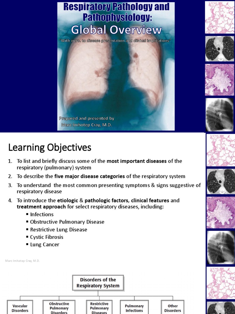 Respiratory Pathology Overview Guide | PDF | Respiratory Diseases ...