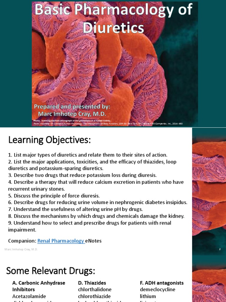 Basic Pharmacology of Diuretics | PDF | Drugs | Pharmacology
