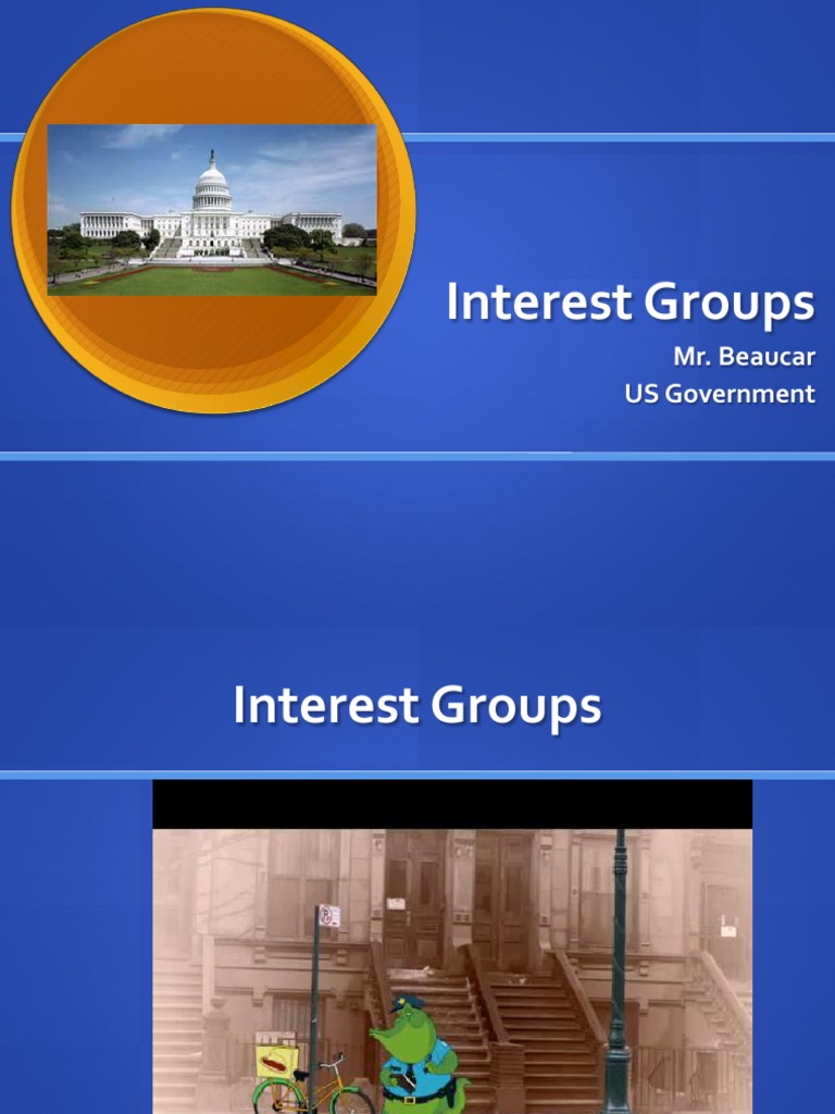 Understanding Interest Groups in Politics | PDF | Advocacy Group | Interest