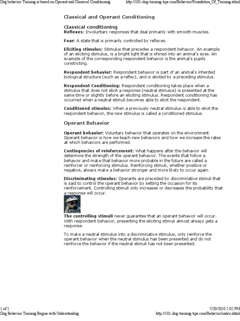 Classical and Operant Conditioning | PDF | Reinforcement | Classical ...