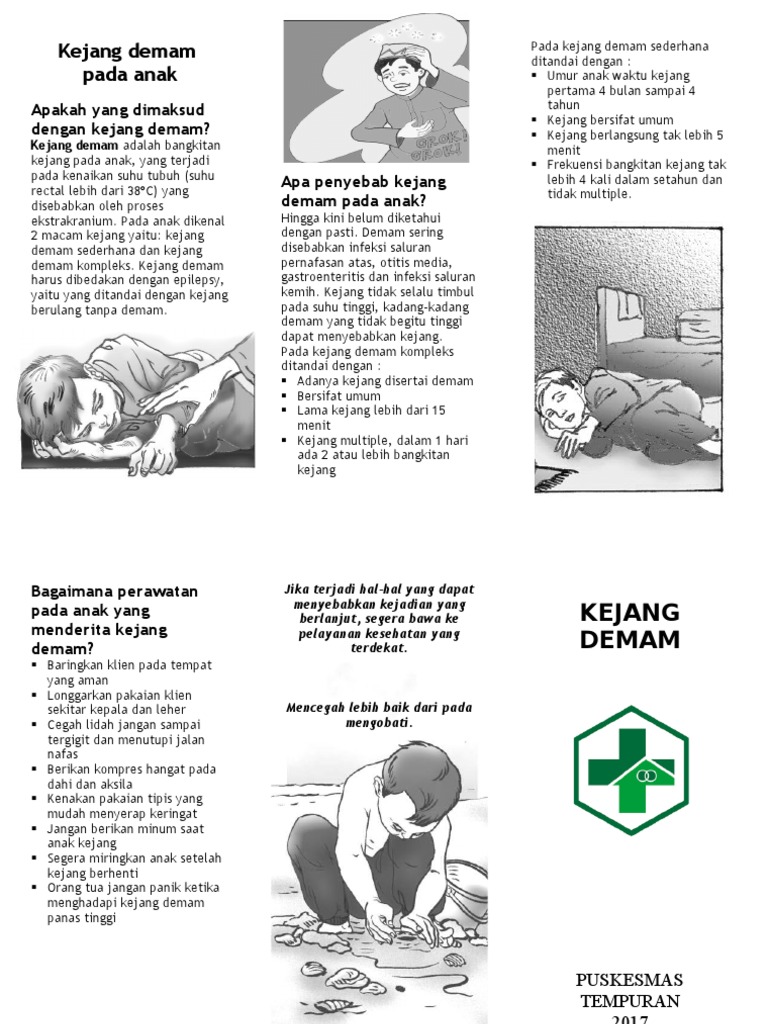 Kejang Demam Leaflet | PDF