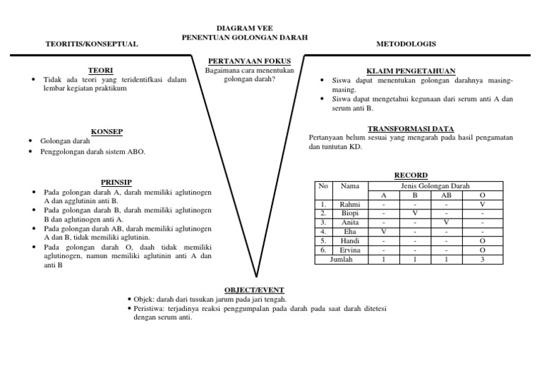 Diagram Vee ANCOR | PDF
