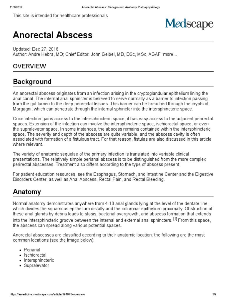 Anorectal Abscess - Background, Anatomy, Pathophysiology | PDF | Doctor ...