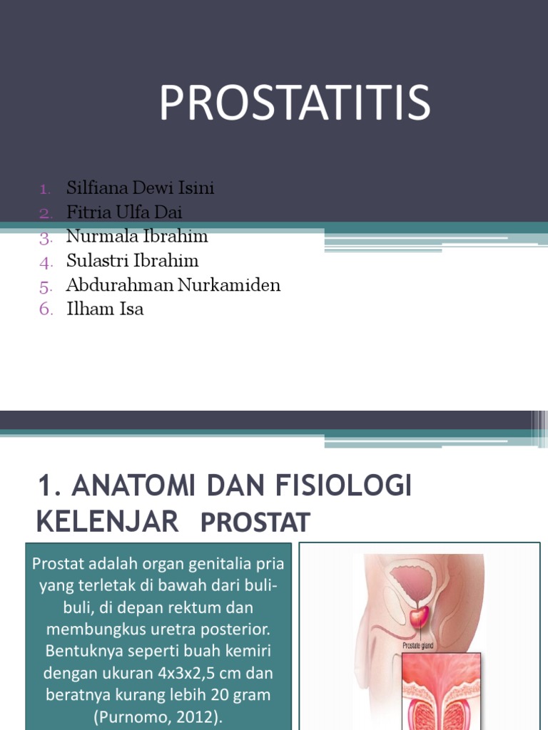Prostatitis PPT Kelompok 1 | PDF | Pengembangan Diri | Kesehatan Holistik
