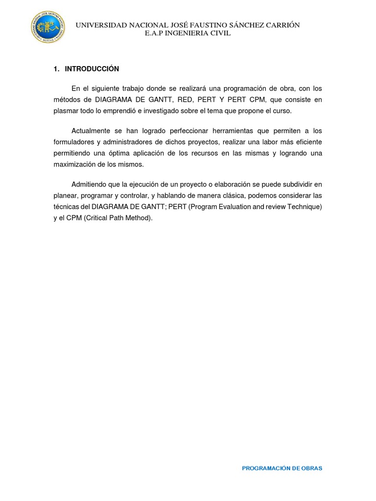 Informe de Programacion | PDF | Proyectos | Gestión de proyectos