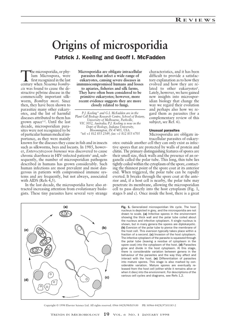 Origins of Microsporidia: Patrick J. Keeling and Geoff I. Mcfadden ...