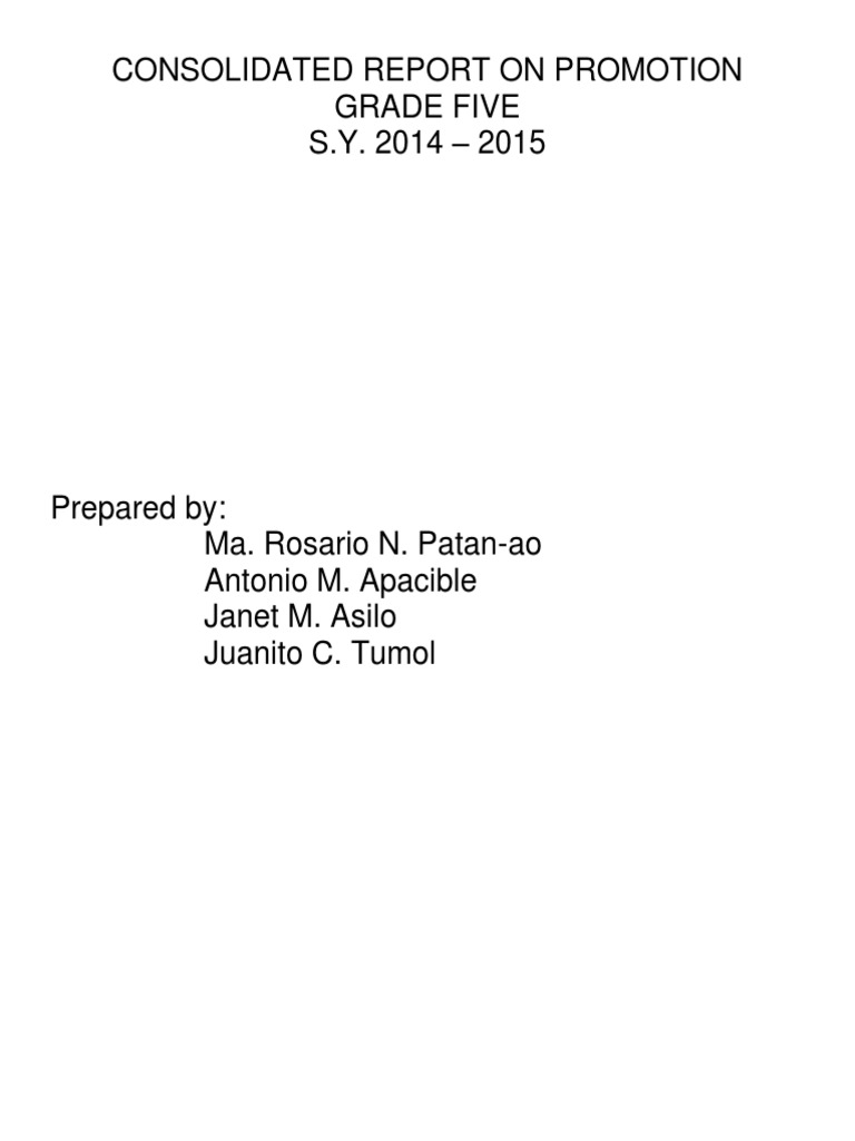 Consolidated Report On Promotion | PDF