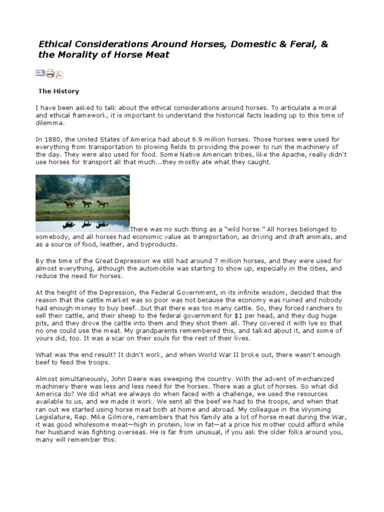 Ethical Considerations Around Horses,... | PDF | Morality | Animal ...