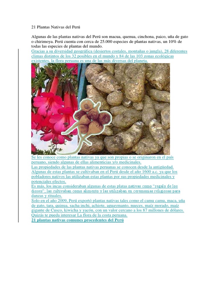 21 Plantas Nativas Del Perú | Perú | Plantas