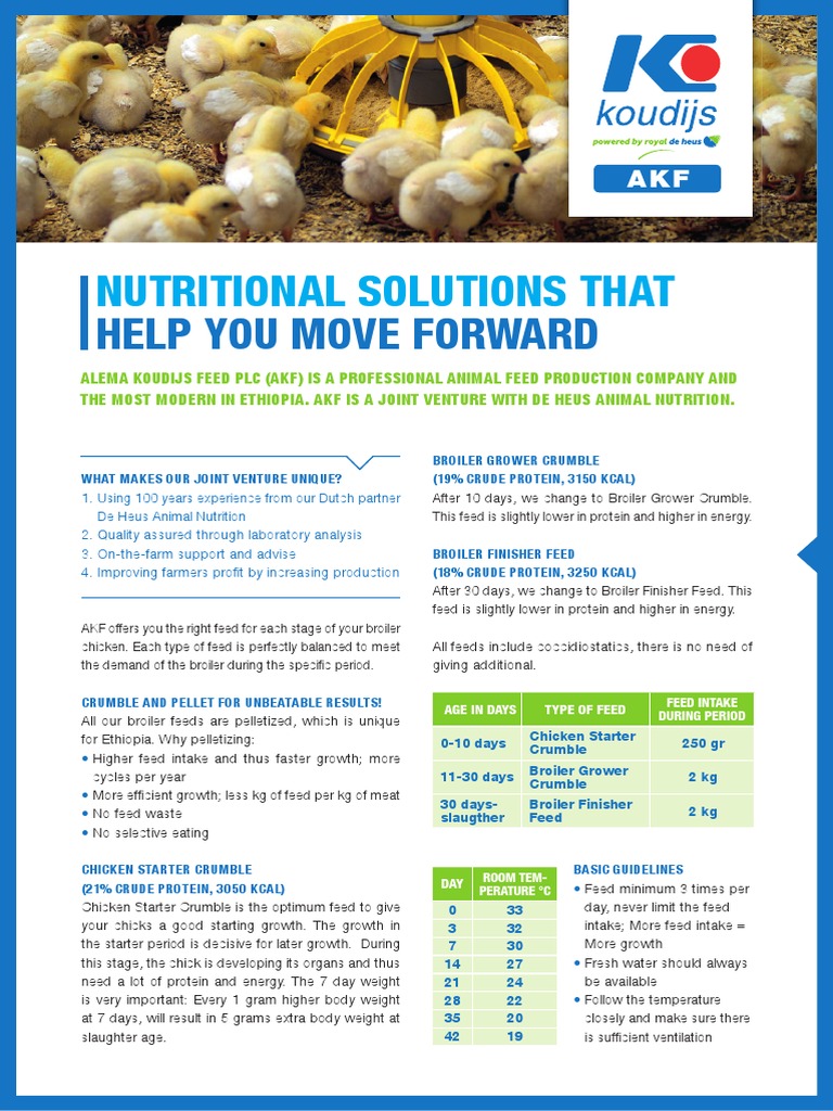 Broiler Feeding Stages | PDF | Broiler | Animal Feed