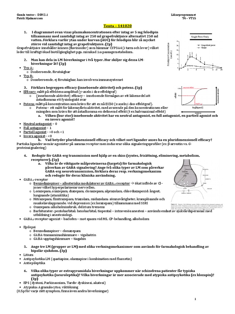DSM2-1 Gamla Tentor | PDF