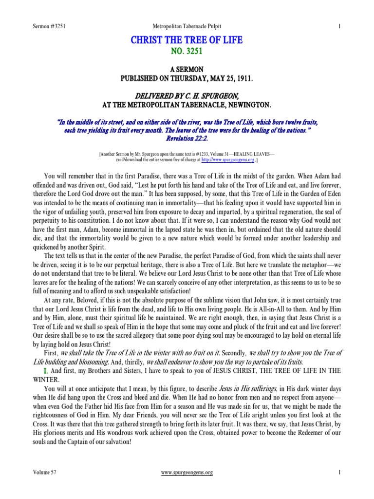 Buddhism Guide To Tipitaka | PDF | Garden Of Eden | Heaven