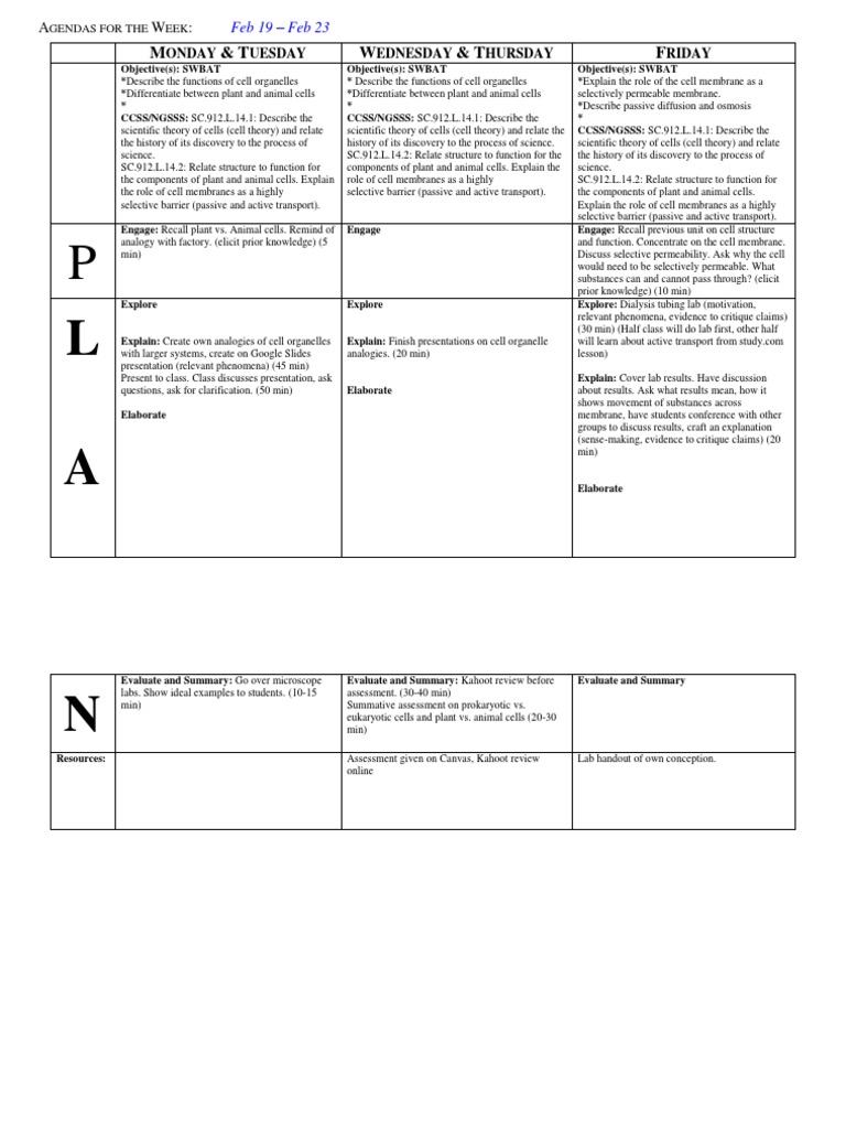 Lesson Plan Summary Template Feb19-Feb23 | PDF | Cell (Biology) | Cell ...