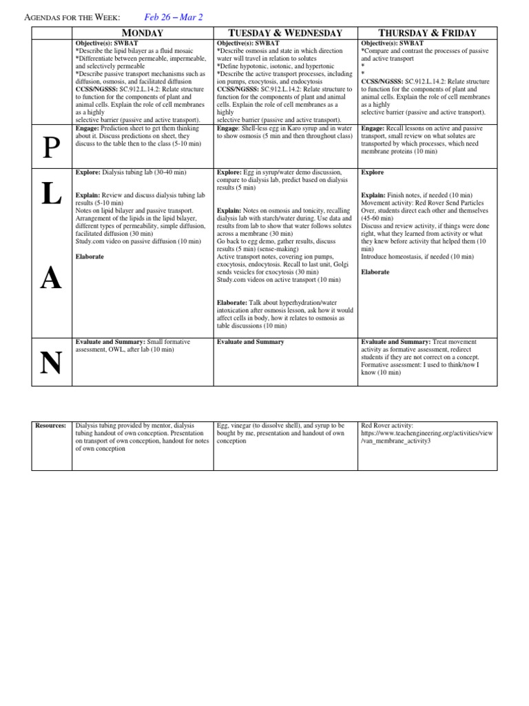 Lesson Plan Summary Template Feb26 | PDF | Cell Membrane | Osmosis