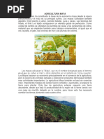 Agricultura Tolteca | PDF | Agricultura | Era precolombina