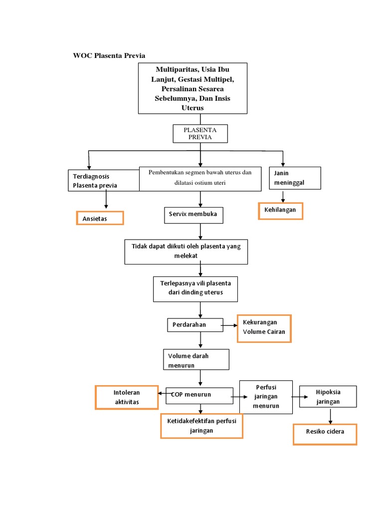 WOC Plasenta Previa | PDF