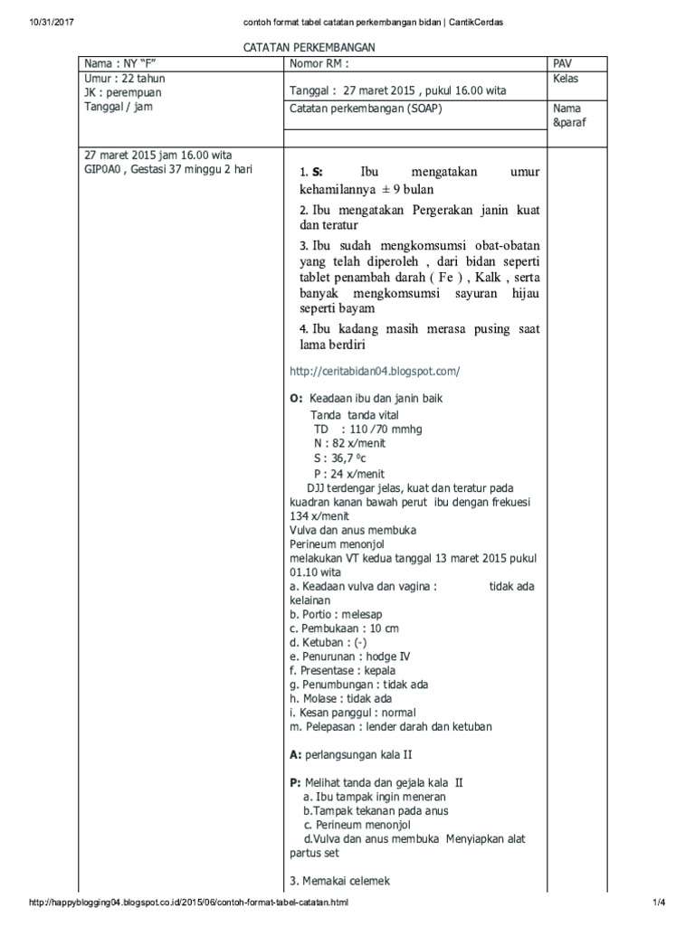 Contoh Format Tabel Catatan Perkembangan Bidan - CantikCerdas | PDF