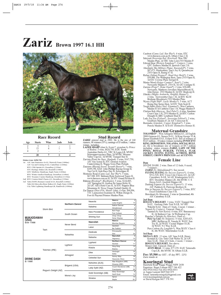 Zariz | PDF