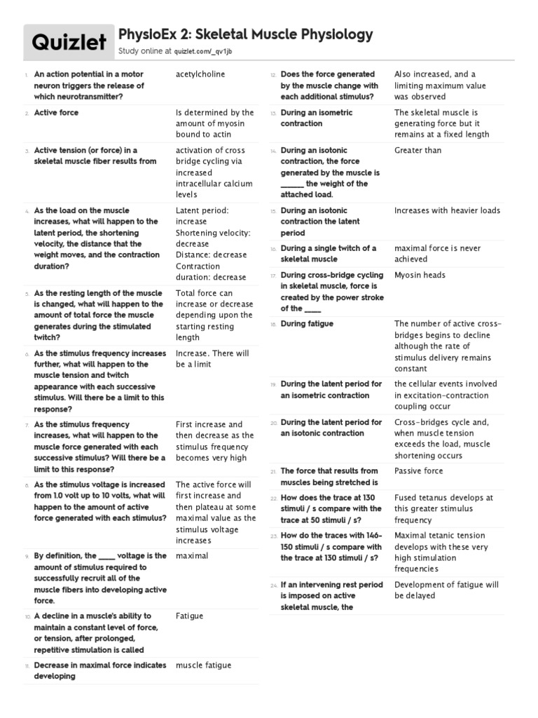 Pex Reporty | PDF | Muscle Contraction | Skeletal Muscle