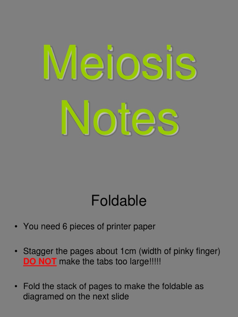 Meiosis Foldable | PDF | Meiosis | Ploidy