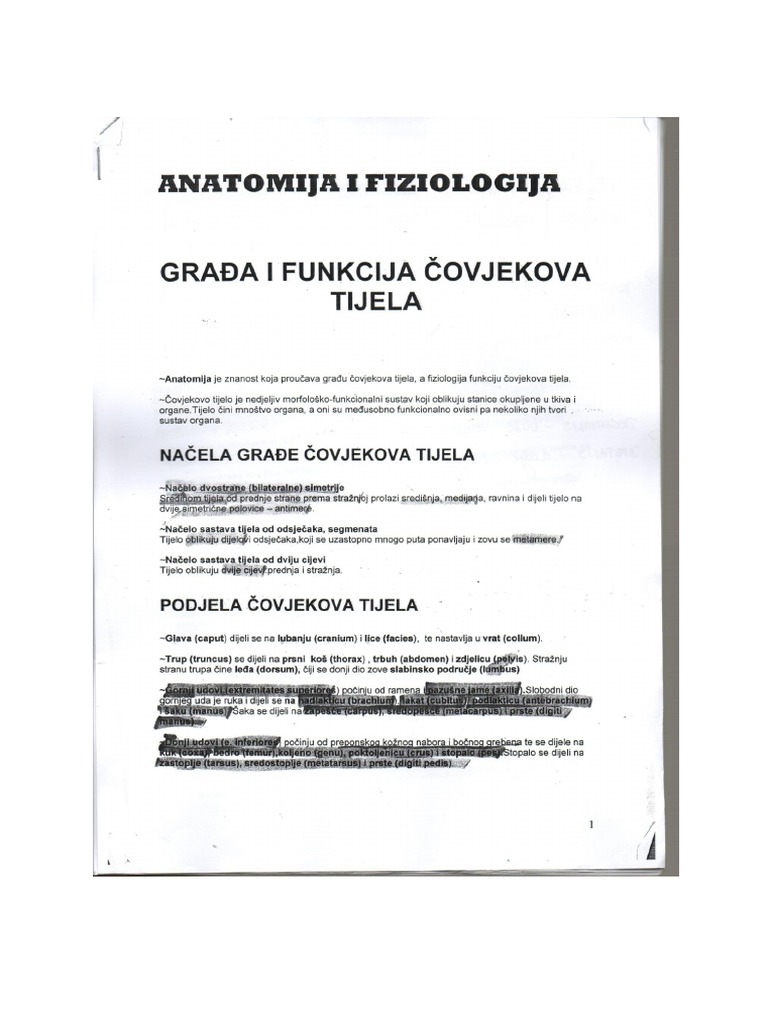 Anatomija I Fiziologija - Skračena Skripta | PDF