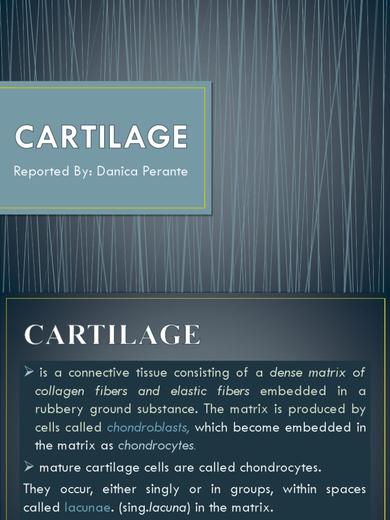 Cartilage | PDF | Cartilage | Extracellular Matrix