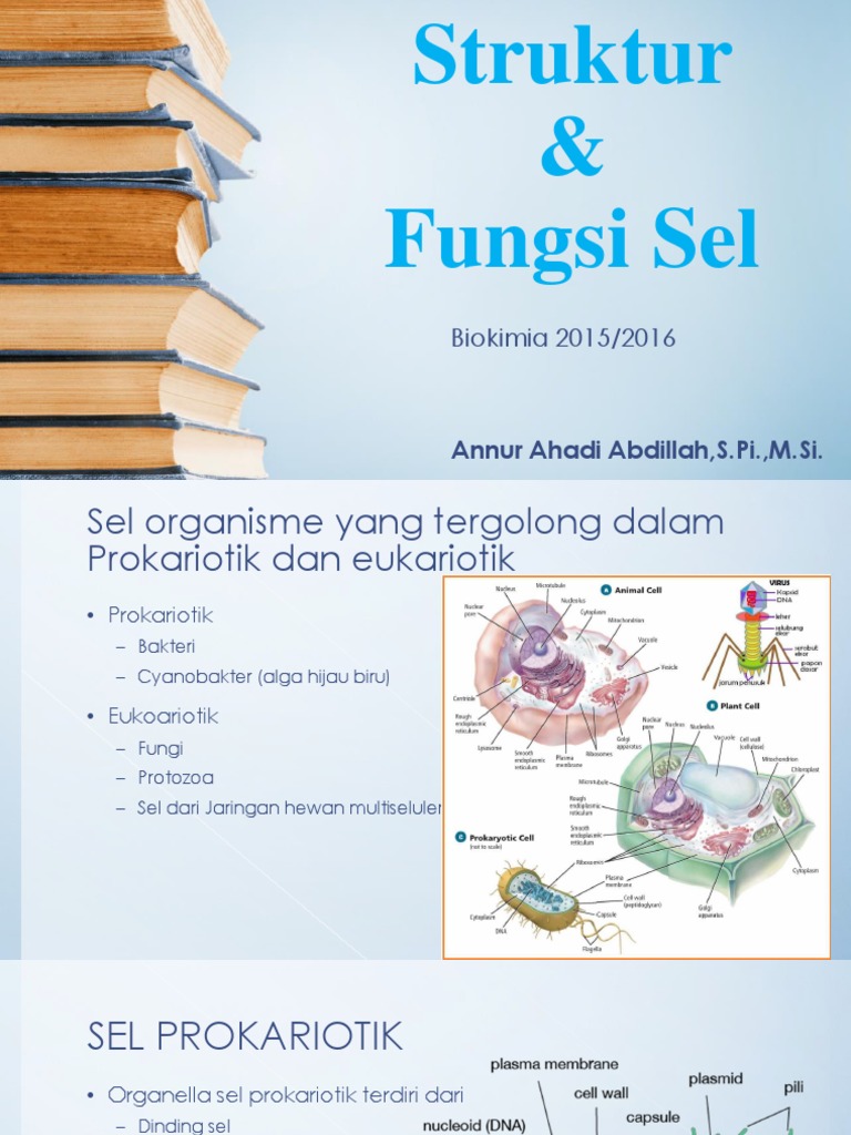 Struktur Dan Fungsi Sel | PDF