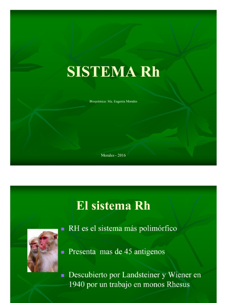 Sistema RH | Descargar gratis PDF | Biología | Inmunología