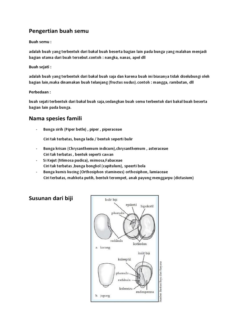 Pengertian dan Contoh Buah Semu | PDF | Sains & Matematika