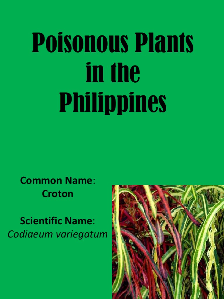 Poisonous Plants | Plants | Horticulture And Gardening