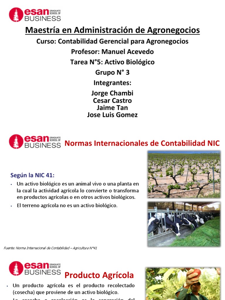 Activo Biológico | PDF | Beneficio (economía) | Contabilidad