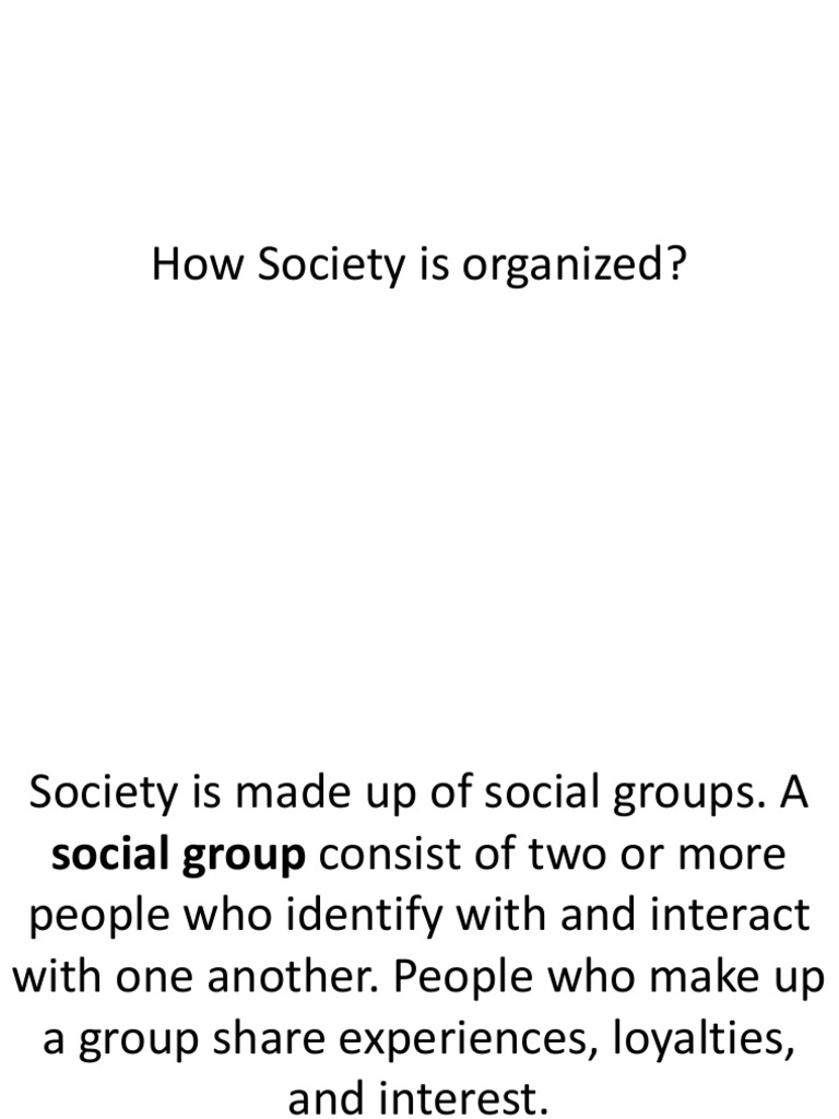 How Societies are Organized: Social Groups, Institutions and Authority ...