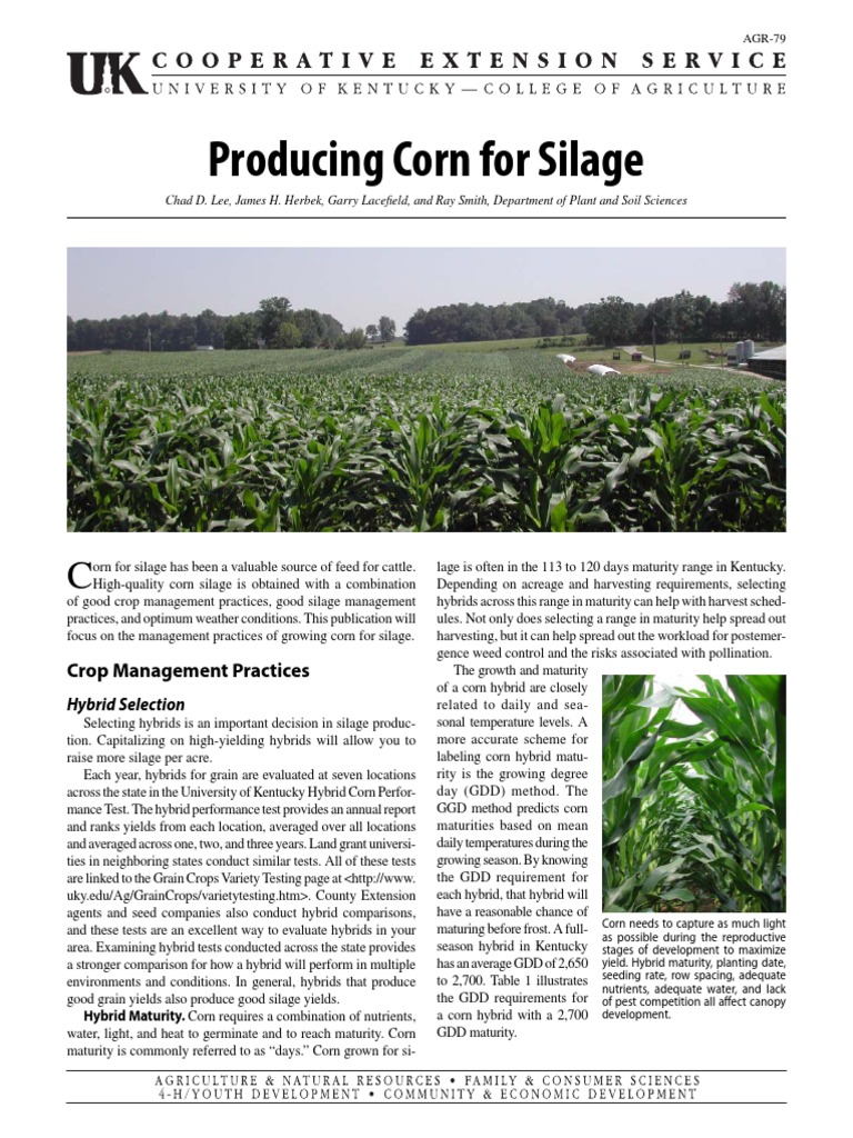 Producing Corn For Silage: Crop Management Practices | PDF | Wheat | Soil