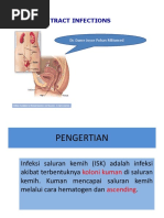 UTI - Concept Map | PDF | Urinary Tract Infection | Microbiology