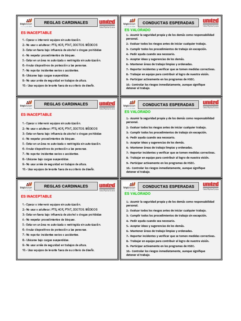 Cartilla Reglas Cardinales y Conductas Esperadas 1 | PDF | Business