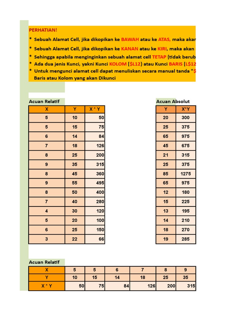 Panduan Fungsi Excel untuk Akuntansi | PDF