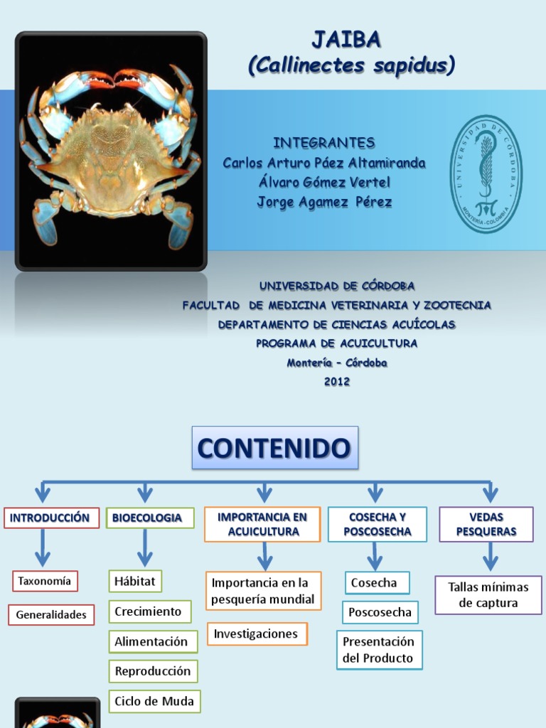 Caracterización biológica y ecológica de la jaiba azul (Callinectes ...