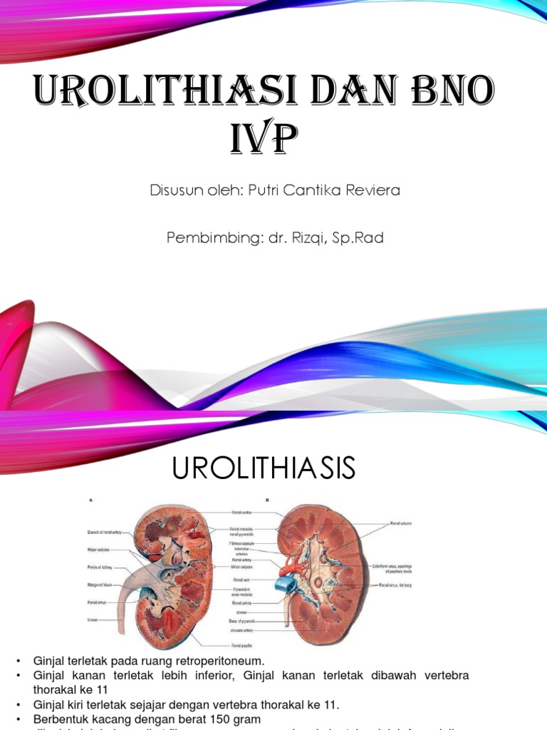 Urolithiasis Dan Bno Ivp | PDF