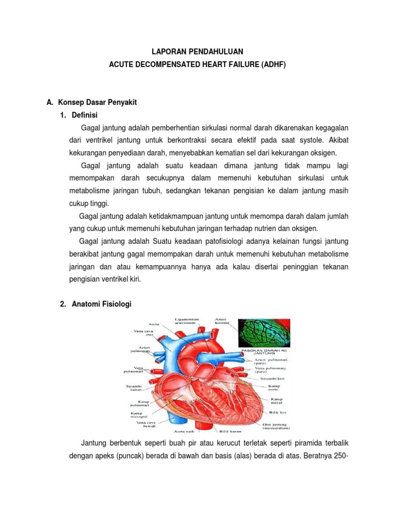 Acute Decompensated Heart Failure (Adhf) | PDF