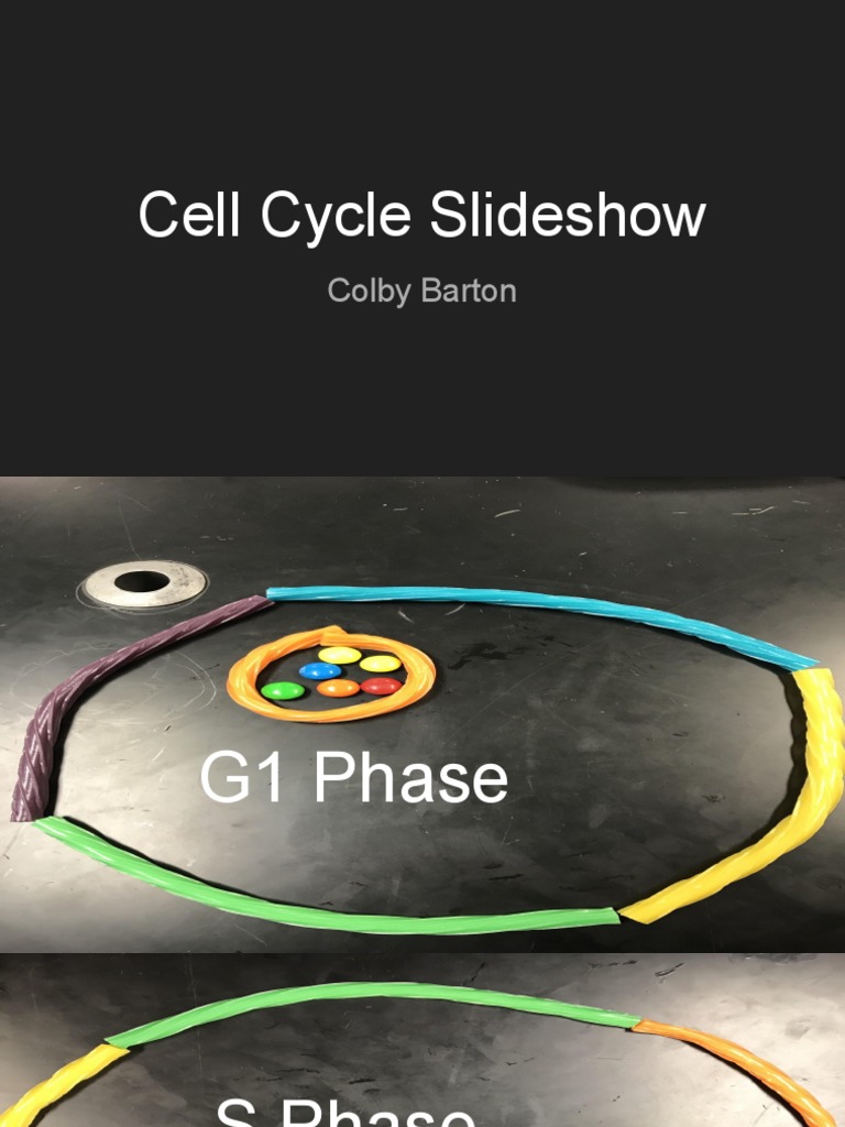 Biology Slideshow | PDF