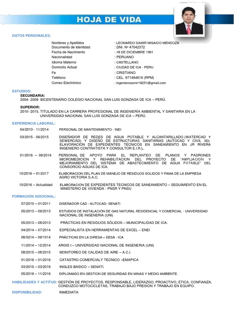 CV Leonardo | PDF | Saneamiento | Ingeniería