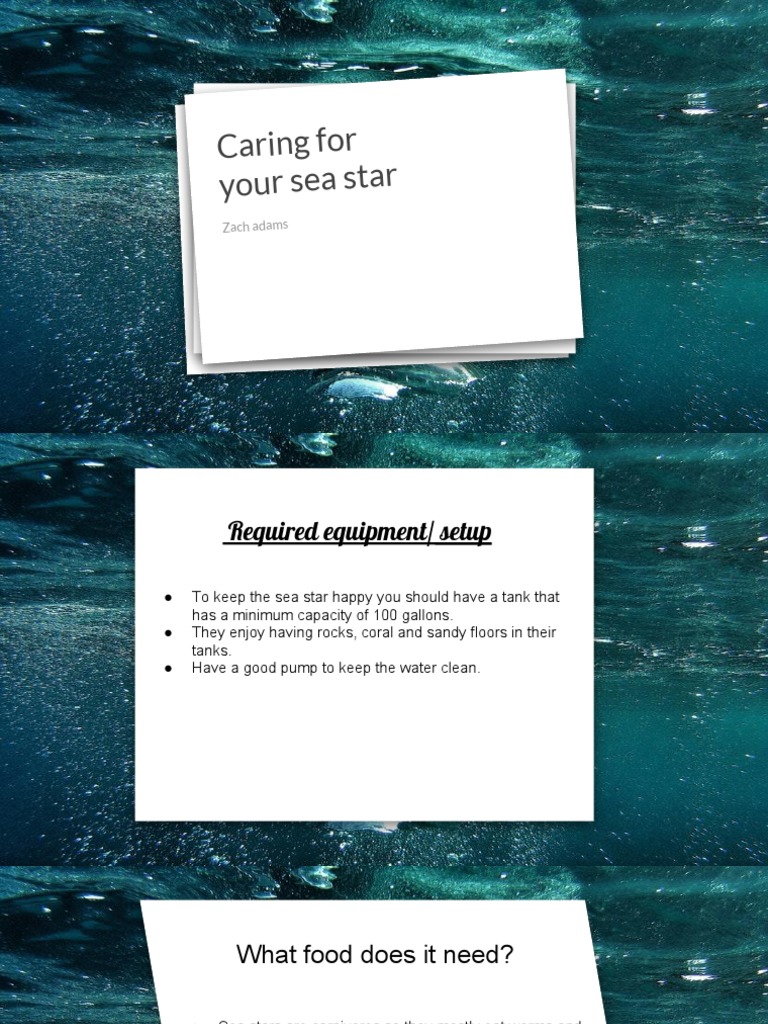 Caring For Your Sea Star | PDF | Home & Garden
