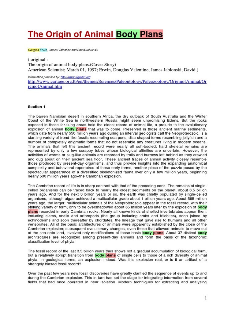 The Origin of Animal Body Plans | Download Free PDF | Evolution | Fossil