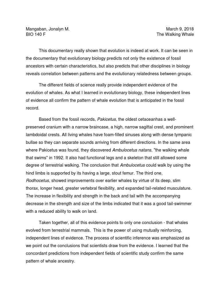 Evolution of Whales Explained | PDF | Evolution | Evolutionary Biology