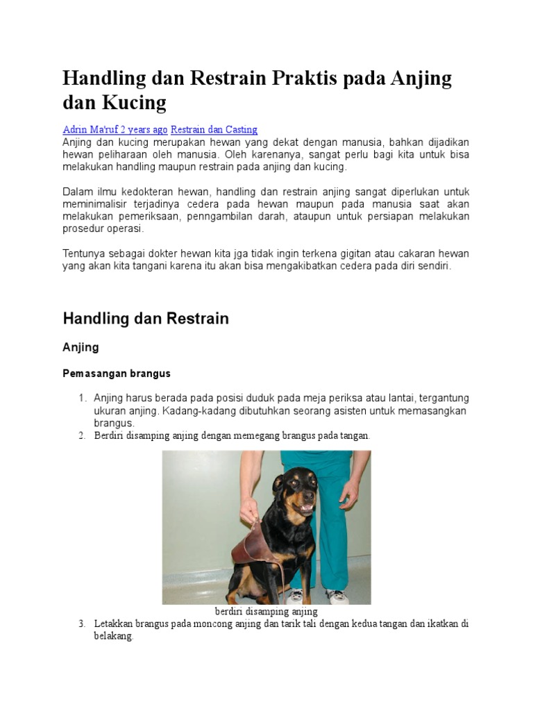 Handling Dan Restrain Praktis Pada Anjing Dan Kucing | PDF