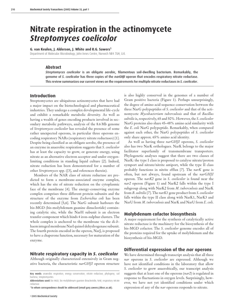 Streptomyces Coelicolor Elemental Composition | PDF | Gene | Operon