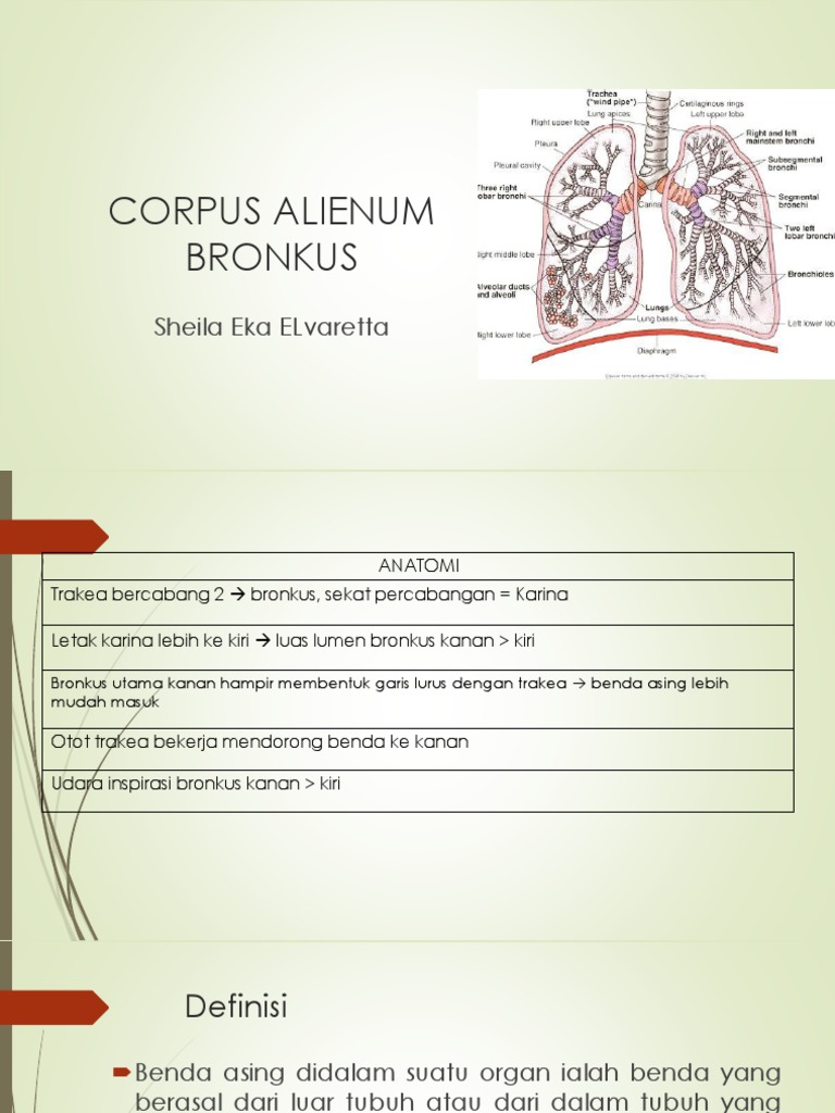 Corpus Alienum Bronkus | PDF